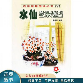 水仙盆景造型 朱振民