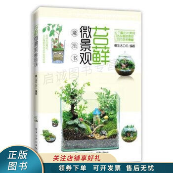 苔藓微景观魔法书
