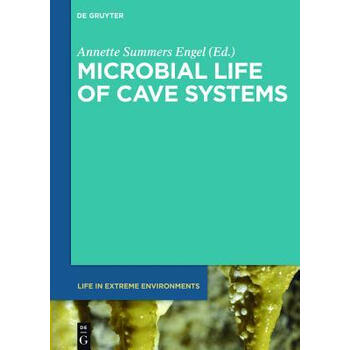 Microbial Life of Cave Systems