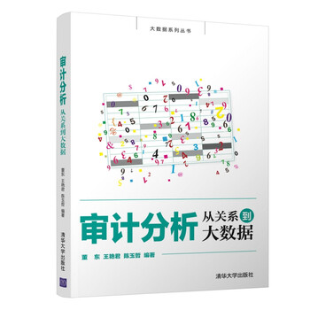 审计分析(从关系到大数据)/大数据系列丛书