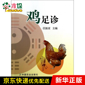 鸡足诊