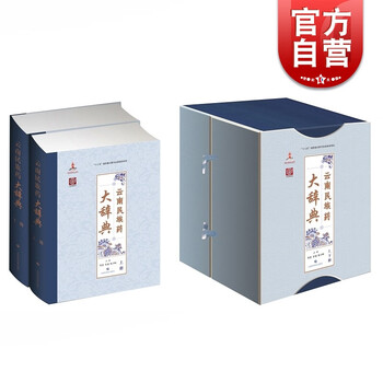 云南民族药大辞典(上下)  郑进 张超 钱子刚 编  上海科学技术出版社