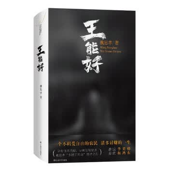 正版 王能好（精装）9787532180653
