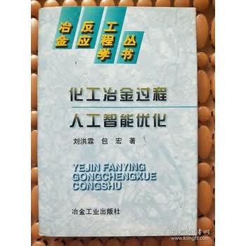化工冶金过程人工智能优化 刘洪霖，包宏著