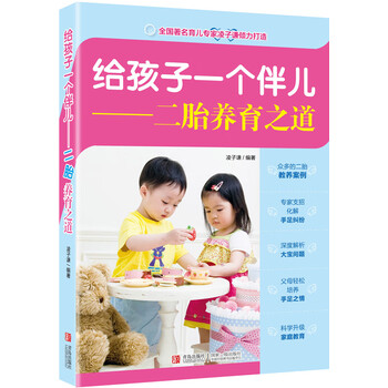 给孩子一个伴儿    凌子谦著 书