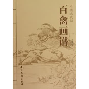 百禽画谱(中国画线描)