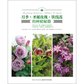 月季圣诞玫瑰铁线莲的种植秘籍