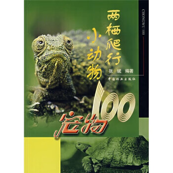 两栖爬行小动物