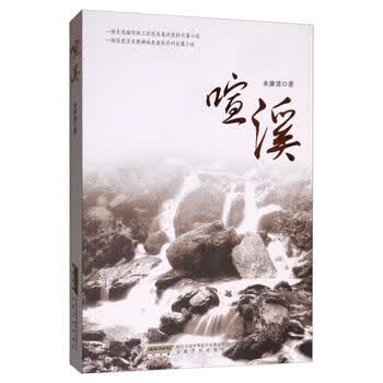 喧溪  朱康清  安徽文艺出版社  小说 书籍