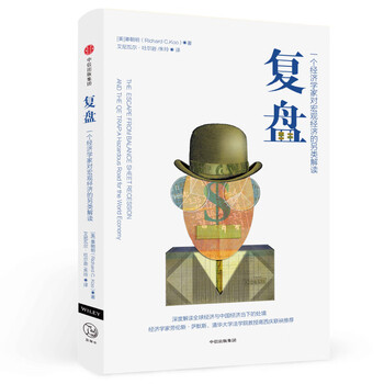 复盘  一个经济学家对宏观经济的另类解读 中信出版社