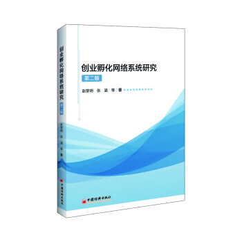 创业孵化网络系统研究