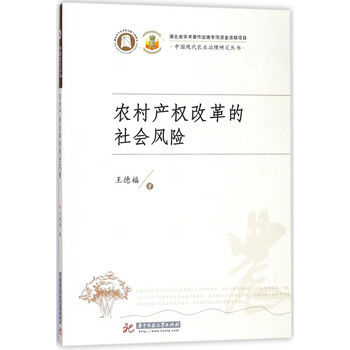 农村产权改革的社会风险/中国现代农业治理研究丛书