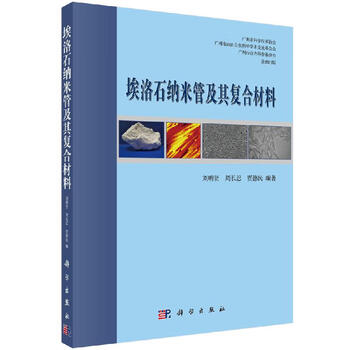 埃洛石纳米管及其复合材料 科学出版社