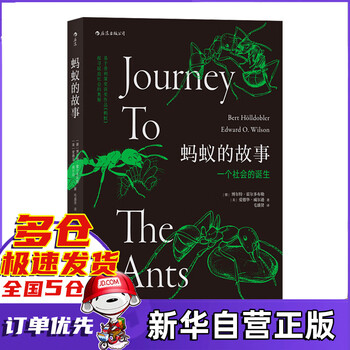 蚂蚁的故事