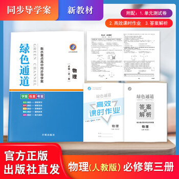 绿色通道 衡水重点高中同步导学案 物理人教版 必修第三册