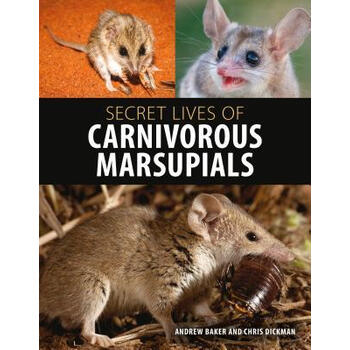 Secret Lives of Carnivorous Marsupials