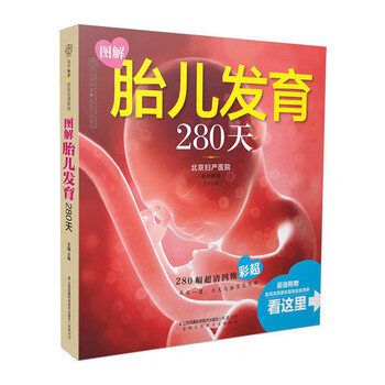 图解胎儿发育280天