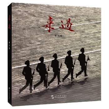来过(精)