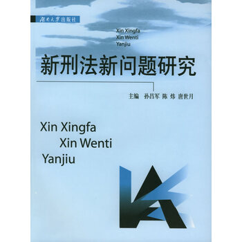 新刑法新问题研究【正版图书】