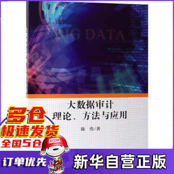 大数据审计理论方法与应用
