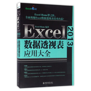 Excel2013数据透视表应用大全