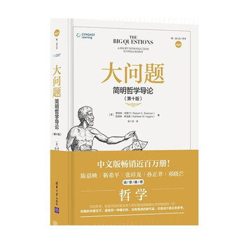 大问题 简明哲学导论 第十版 罗伯特所罗门 好读的哲学入门书 经典再现 哲学理论与流派 正版