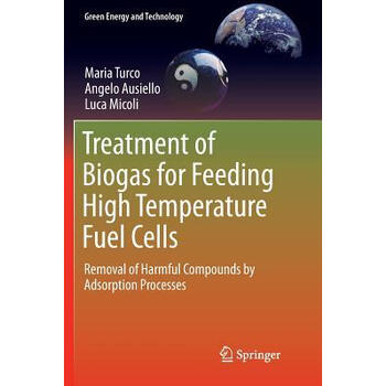 Treatment of Biogas for Feeding High Temperature