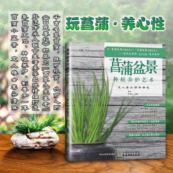 菖蒲盆景种植养护艺术：文人雅士清供雅玩 菖蒲 盆景 种植养护 盆景造景 苔藓 中国农业出版社 书籍k