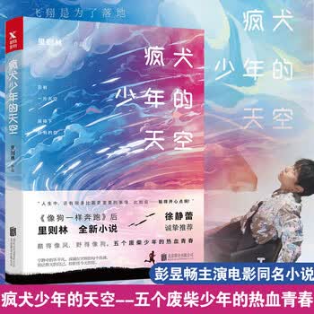 疯犬少年的天空 里则林作品