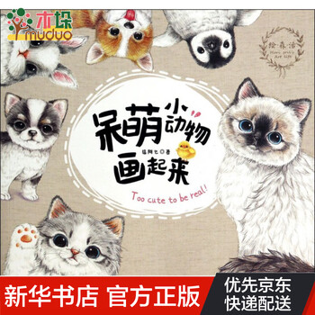 呆萌小动物画起来/绘森活