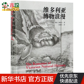 维多利亚博物浪漫