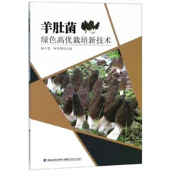 羊肚菌绿色高优栽培新技术 正版 书籍 农业种植养殖技术 蘑菇种植 蔬菜园艺书籍 家庭种植栽培 农作物