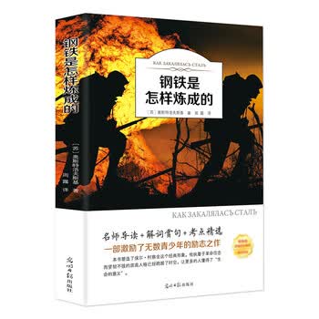 钢铁是怎样炼成的（名家全译本）