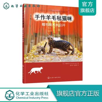 手作羊毛毡猫咪：植毛技术大公开