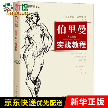 伯里曼人体结构实战教程