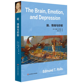 脑、情绪与抑郁（牛津大学教授解读人类脑与情绪）系列图书：