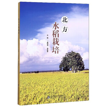 北方水稻栽培
