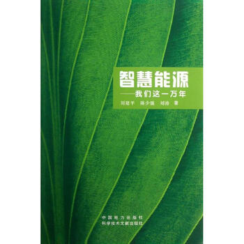 智慧能源 