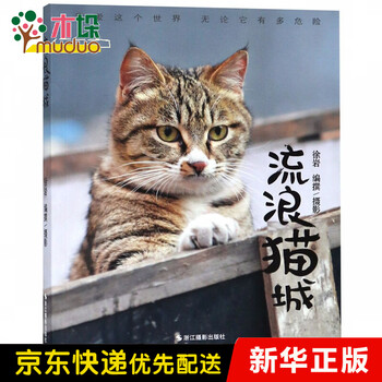 流浪猫城