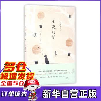 小说灯笼(精)
