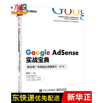 Google AdSense实战宝典(用谷歌广告联盟出海赚美元第2版)
