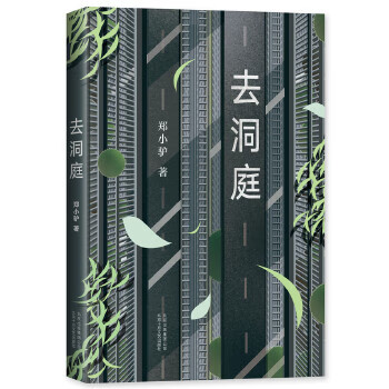 去洞庭