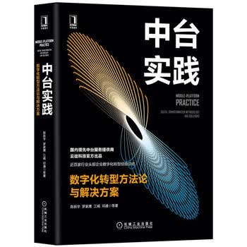 中台实践：数字化转型方法论与解决方案