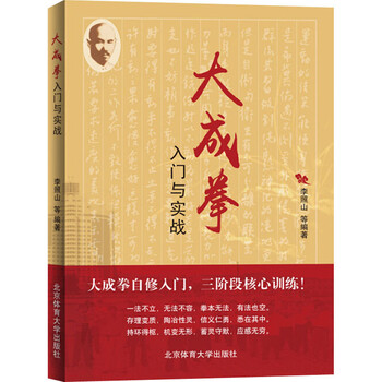 大成拳入门与实战