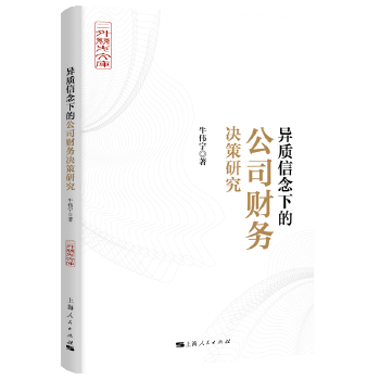 异质信念下的公司财务决策研究