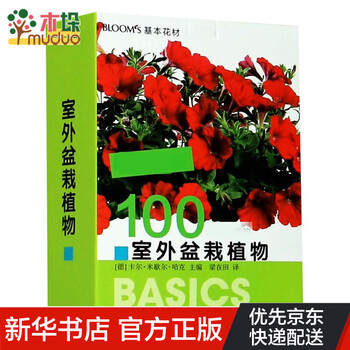 室外盆栽植物(BLOOM'S基本花材)