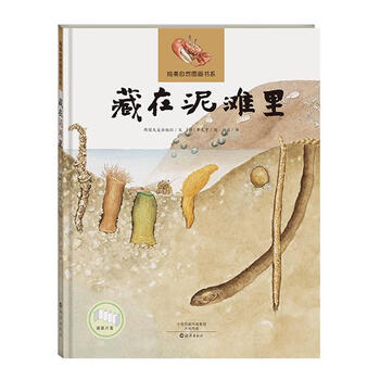 纯美自然图画书系 藏在泥滩里【正版图书，放心下单】