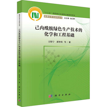 己内酰胺绿色生产技术的化学和工程基础