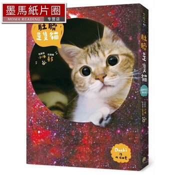 预售 肚脐爸小冰肚脐是只猫 首刷限定特仕版 内含喵星人收藏书盒＋2017年CD盒桌历＋圣诞猫PVC夹