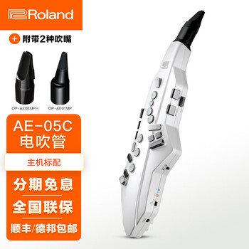罗兰（Roland）/罗兰AE-05C电吹管电萨克民乐音色电子管乐 罗兰AE05C电吹管 罗兰AE05C电吹管（带民族音色）【图片 价格 品牌 ...
